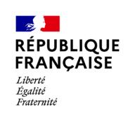 Présentation du rapport final « Intelligence artificielle, données, calculs : quelles ...