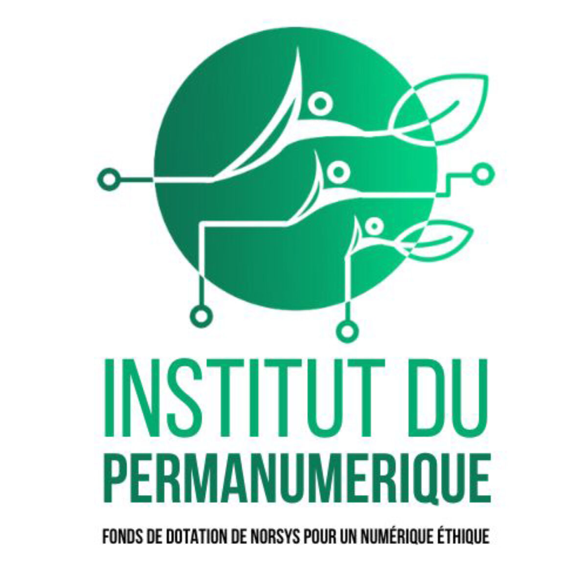 Numérique - The Shift Project